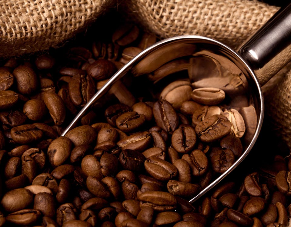 Whole Bean – Rooted Grounds Coffee Co.